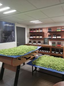 Déjerine sports center (20th) | Houblon Season 1 | Sites and winners ...